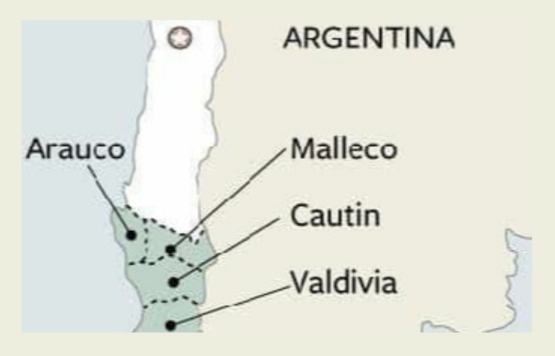 Estado de Wallmapu, propuesta de Estado Federal Descentralizado ...